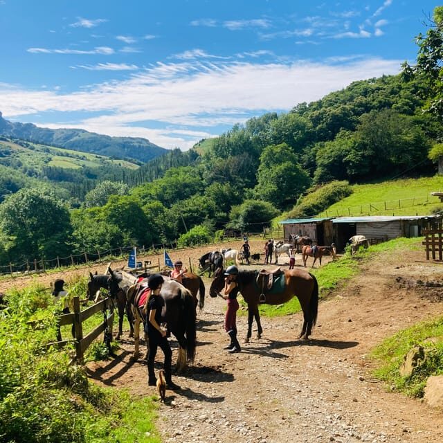 San Sebastian: Horseback Riding & Traditional Delights - Authentic Experiences and Genuine Value