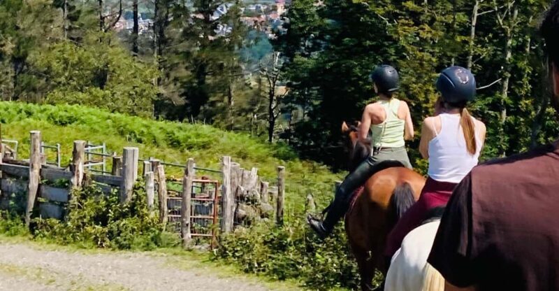 San Sebastian: Horseback Riding & Traditional Delights - Who Will Love This Experience?