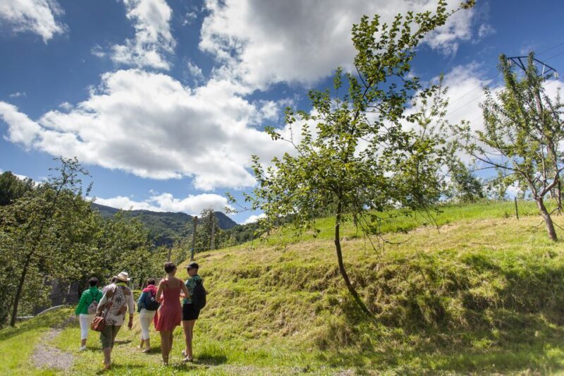 San Sebastián: Traditional Cider House Tour with Lunch - Key Points