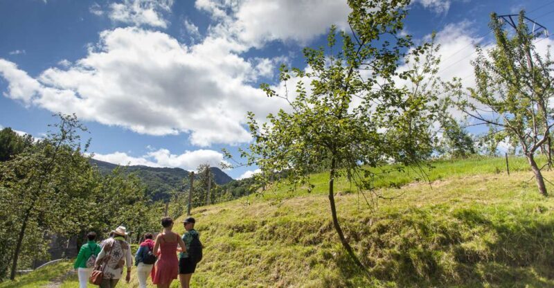 San Sebastián: Traditional Cider House Tour with Lunch - An In-Depth Look at the Cider House Tour