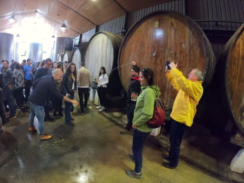 San Sebastián: Unique and Fun Basque Cider Culture Tour - Practical Tips for Participants