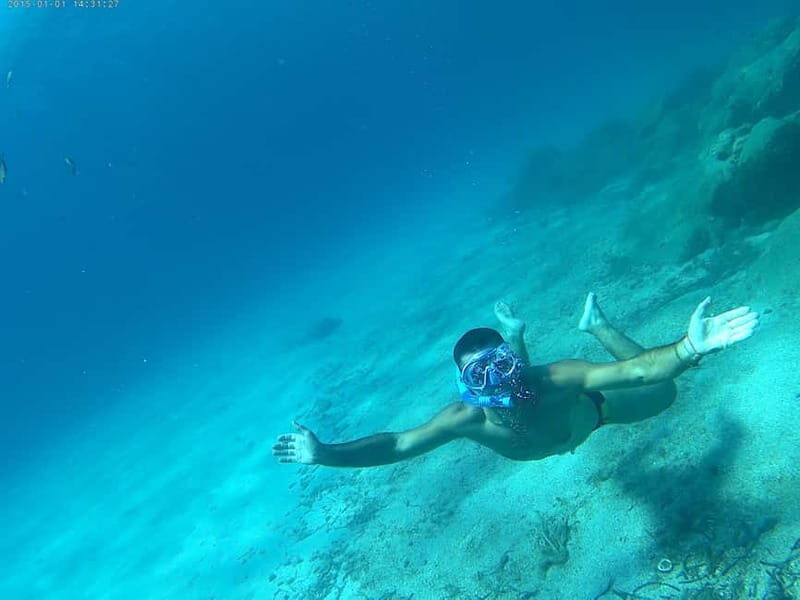 San Teodoro: Fishing trip and lunch with fresh catch and diving among the islands - Who Will Love This Tour?