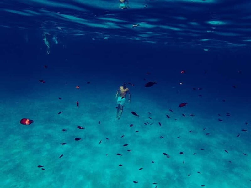 San Teodoro: Fishing trip and lunch with fresh catch and diving among the islands - FAQs