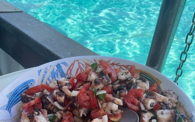 San Teodoro: Fishing trip and lunch with fresh catch and diving among the islands - Final Thoughts