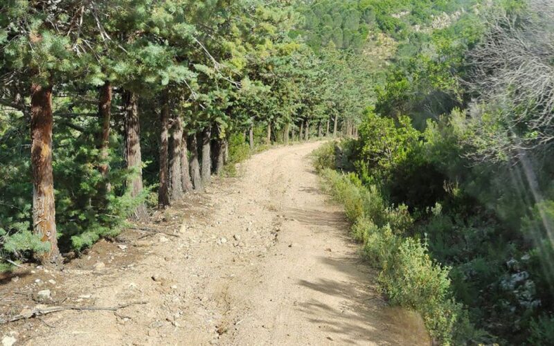 San Teodoro: Rio Pitrisconi Jeep and Hiking Tour - What’s Included and What’s Not