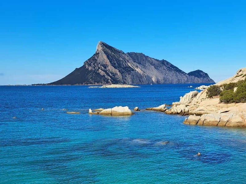 San Teodoro: Tavolara Boat Tour & Monte Nieddu 4x4 Tour - Key Points