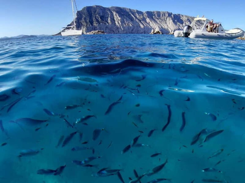 San Teodoro: Tavolara Boat Tour & Monte Nieddu 4x4 Tour - Who Will Appreciate This Tour?