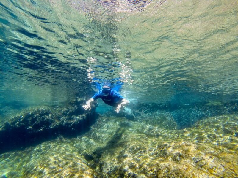 San Terenzo: Portovenere Natural Park Snorkeling Trip - An Introduction to the Experience
