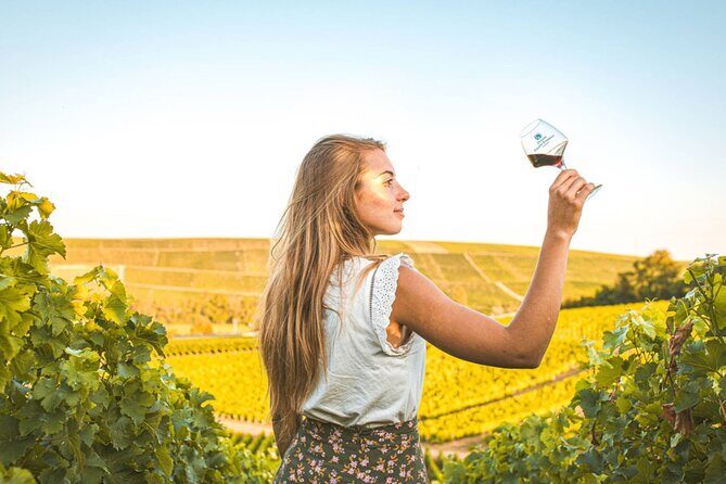 Sancerre Private Wine Tour with 10 Tastings and Lunch from Paris - What Makes This Tour Stand Out?