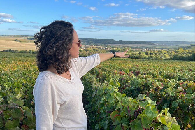 Sancerre Small Group Wine Day Trip with Wine Tastings and Lunch - The Experience: A Closer Look