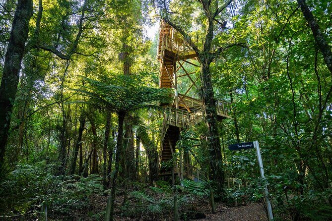 Sanctuary Mountain Ancient Forest Walk & Hamilton Gardens Tour - FAQ