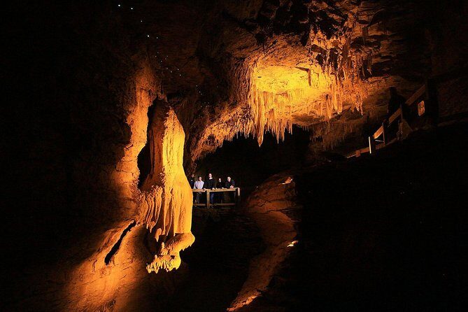 Sanctuary Mountain (Mt Maungatautari) & Waitomo Luxury Day tour from Auckland - All-Inclusive Comfort and Value