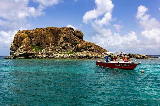 Sand Dollar Half Day Snorkel Trip - The Value Proposition