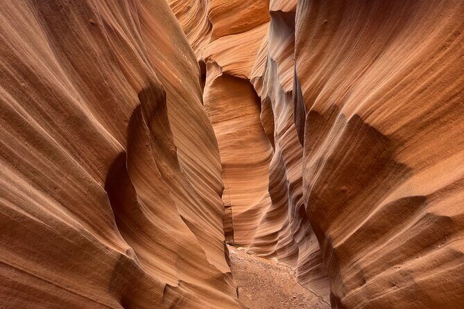Sand Dune Canyon Tour through Antelope Canyon - Authentic Feedback from Travelers
