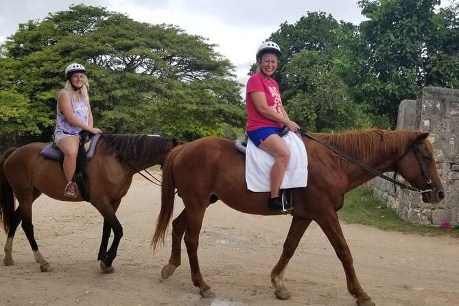 Sand n Saddle Horseback Ride & Swim Tour from Falmouth - Introduction