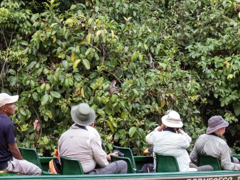 Sandakan: 2-Day Kinabatangan River Wildlife Tour & Cave - How About the Price and Overall Value?