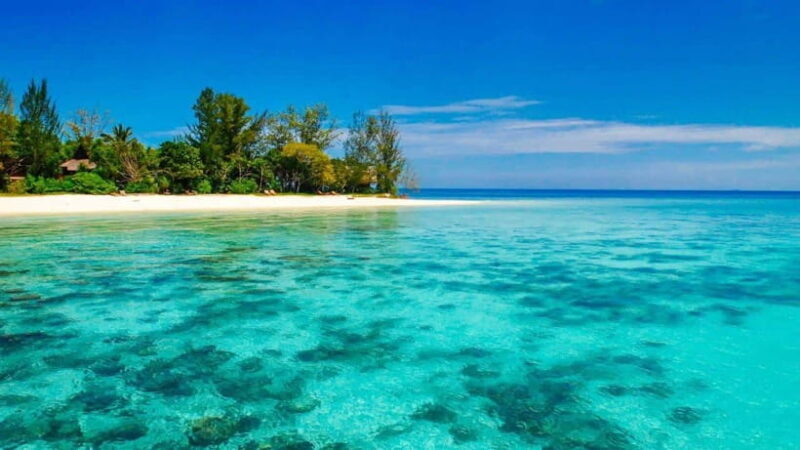 Sandakan : 2 Days 1 Night At Turtle Island - An In-Depth Look at the Tour Experience