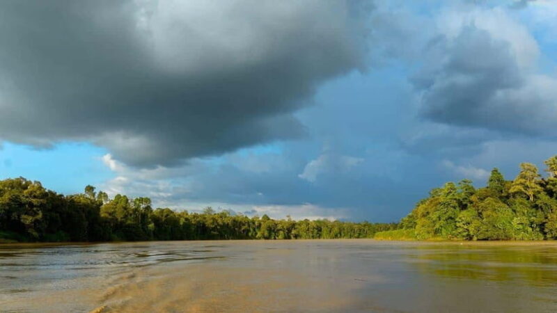 Sandakan: 2 Days 1 Night Bilit, Kinabatangan River Wildlife - Final Thoughts: Who Will Love This Tour?