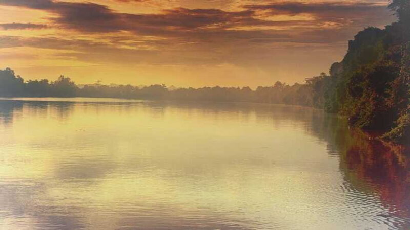 Sandakan: 2 Days 1 Night Bilit, Kinabatangan River Wildlife - Frequently Asked Questions