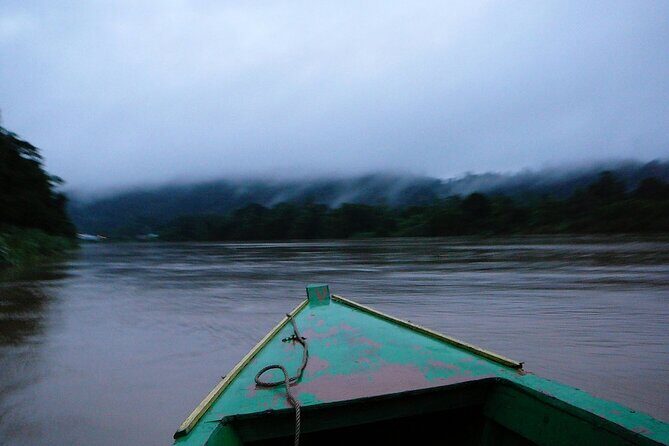 Sandakan: 2D1N Sukau Rainforest Wildlife Journey and Cruises - Final Thoughts