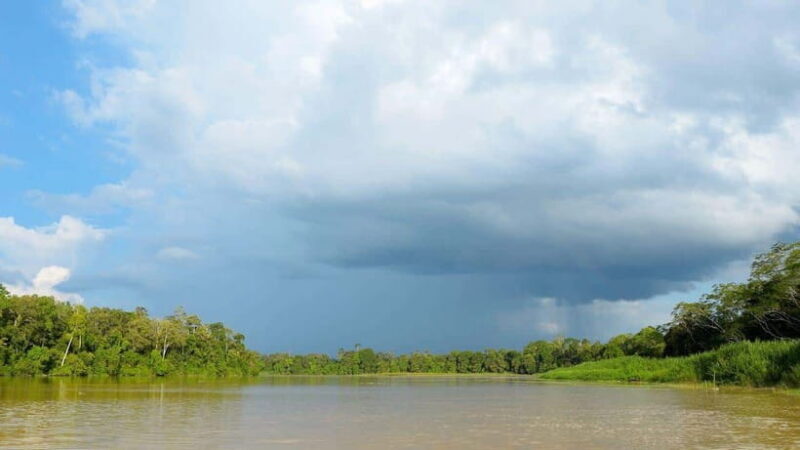 Sandakan : 3-Day Kinabatangan River Wildlife Adventure - An In-Depth Look at the 3-Day Kinabatangan River Tour
