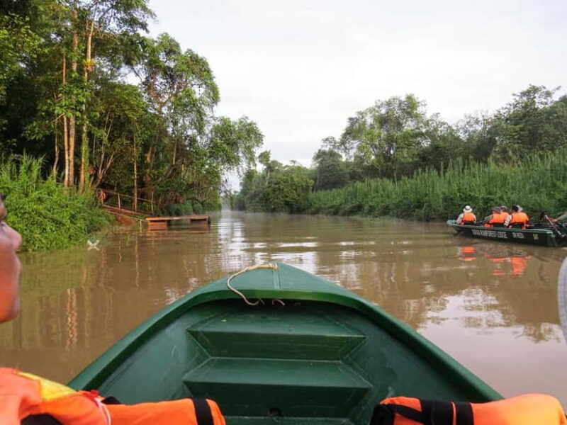 Sandakan: 3D2N The Wild Heart of Borneo River Secrets - The Journey into the Heart of Borneo