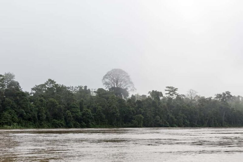 Sandakan: 3D2N The Wild Heart of Borneo River Secrets - Final Thoughts