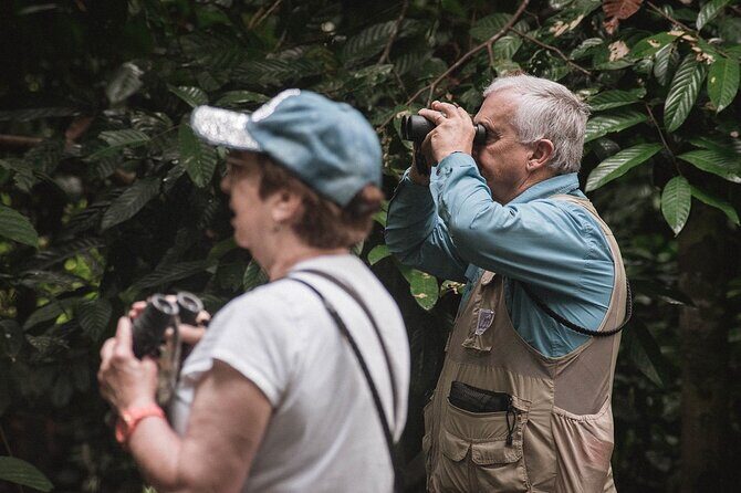 Sandakan: Gomantong Cave Echoes and Kinabatangan Cruise - Who Should Consider This Tour?