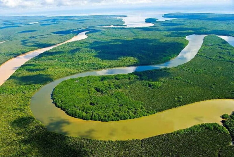 Sandakan: Kinabatangan River Wildlife Cruise with Lunch - Key Points