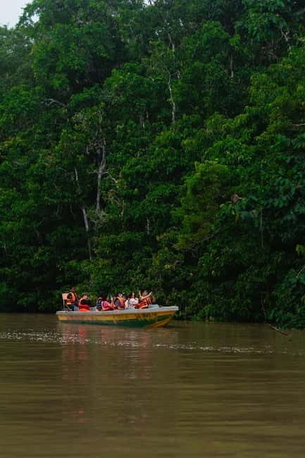 Sandakan: Kinabatangan River Wildlife Cruise with Lunch - An Honest Look at the Wildlife Cruise: What to Expect