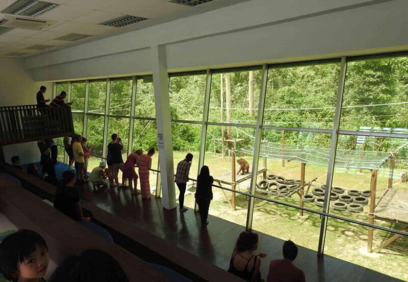 Sandakan: Orangutan Sanctuary Shared Day Trip Tour - Why Choose This Tour?