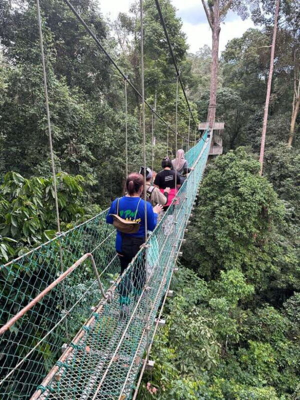 Sandakan: Orangutan Sanctuary Shared Day Trip Tour - FAQ