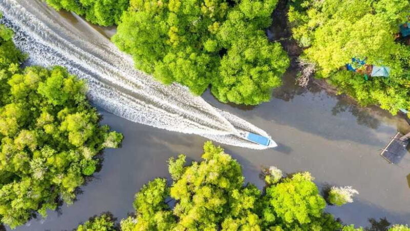 Sandakan: Orangutan, Sun Bear, Fireflies and Mangrove Cruise - An Evening Feast: Local Dinner & Return to Sandakan