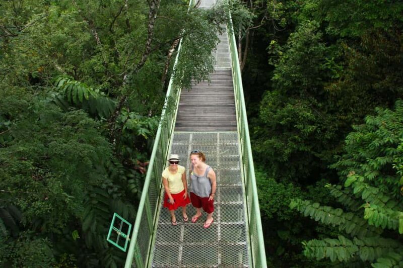 Sandakan: Private City Tour, Rainforest, Jungle Walk, Birds - Key Points