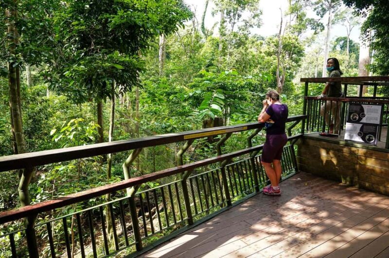 Sandakan: Private City Tour, Rainforest, Jungle Walk, Birds - Detailed Review of the Sandakan Private Tour