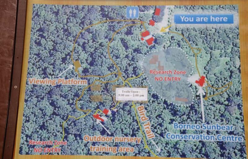 Sandakan: Private City Tour, Rainforest, Jungle Walk, Birds - Final Thoughts