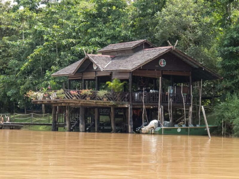 Sandakan: Sukau Rainforest Wildlife Journey & Dawn Cruises - Key Points