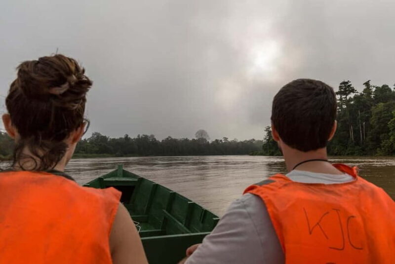 Sandakan: Sukau Rainforest Wildlife Journey & Dawn Cruises - Introduction: An Adventure Worth Considering