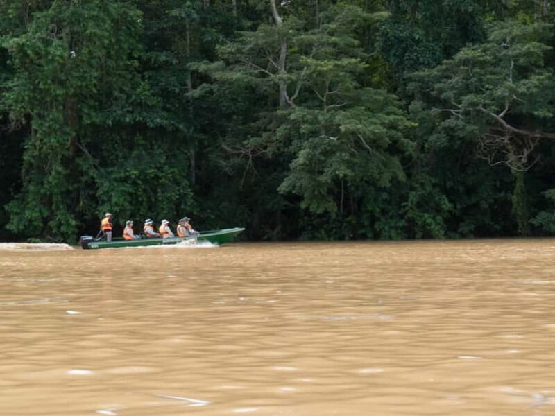 Sandakan: Sukau Rainforest Wildlife Journey & Dawn Cruises - What Makes this Tour Stand Out?