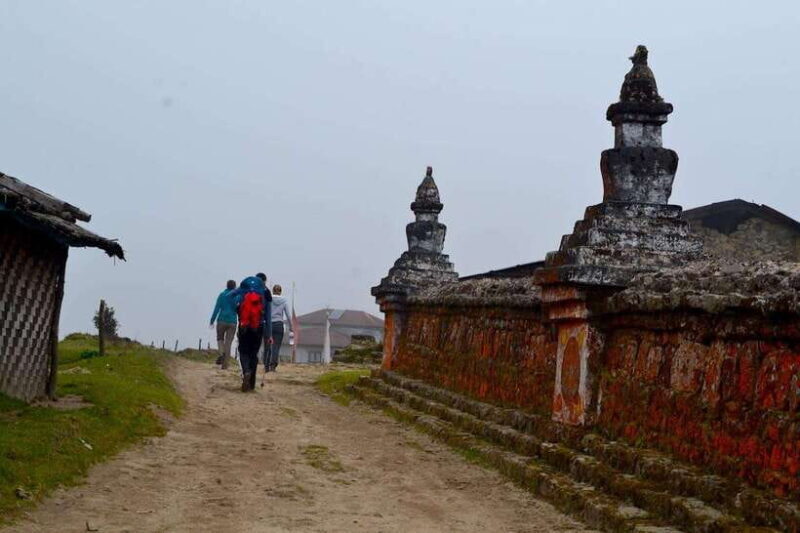 Sandakphu Singalila Ridge Trek - 6 Days - An Honest Look at the Trek Experience