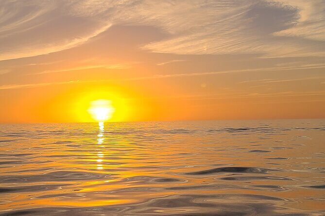 Sandbar, Beach, Dolphin Watching Cruise Sarasota, Florida - Why Choose a Private Sarasota Boat Tour?