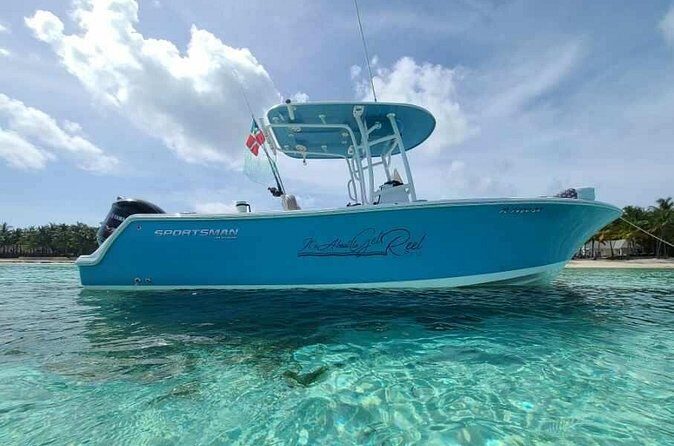 Sandbar, Beach, Dolphin Watching Cruise Sarasota, Florida - What’s Included and What to Bring