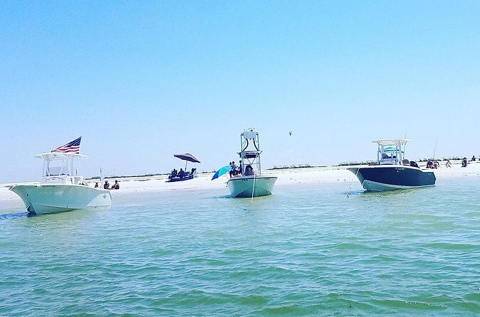 Sandbar, Beach, Dolphin Watching Cruise Sarasota, Florida - FAQ: Your Practical Questions Answered