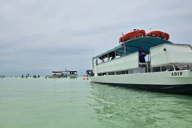 Sandbar Boat Tour in Marathon Florida - An Honest Look at the Sandbar Boat Tour in Marathon Florida
