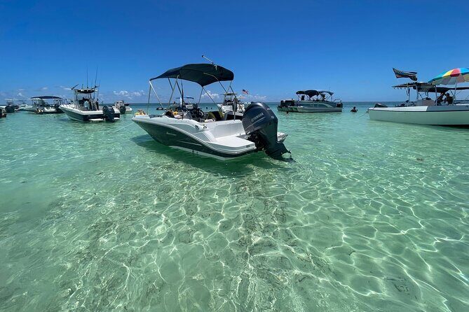 Sandbar Excursion - The Sum Up: Is the Sandbar Excursion Worth It?