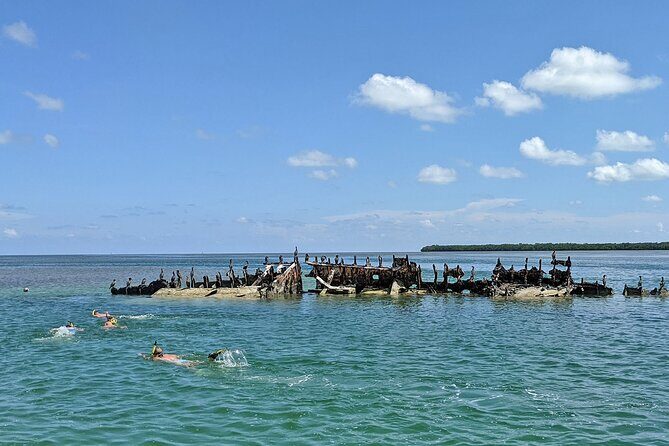 Sandbar Excursion in Key West - Introduction: Sun, Sand, and Serene Waters