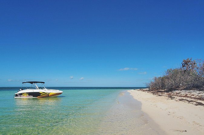 Sandbar Excursions with Snorkeling and Sunset Cruises in Key West - Practical Details and Tips