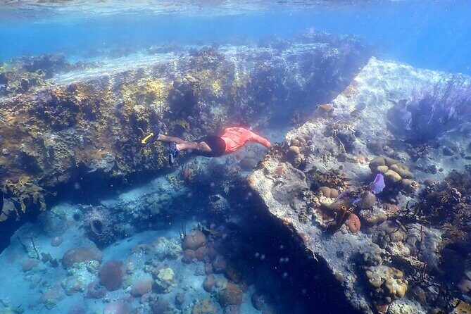 Sandboarding & Snorkeling at the Dominican desert - Starting Out: Early Morning Pickup and Journey to Salinas