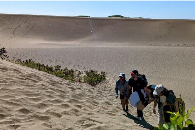 Sandboarding & Snorkeling at the Dominican desert - The Overall Experience: What Travelers Say