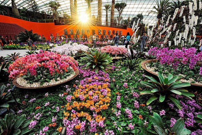 SandsSkyPark+GardensbytheBay(FlowerDome&Jurassic World)Transfers - Final note